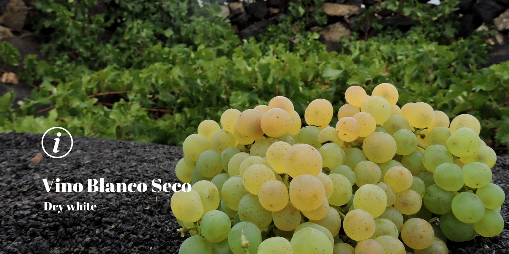 Información Nutricional - Blanco Seco • Vega de Yuco